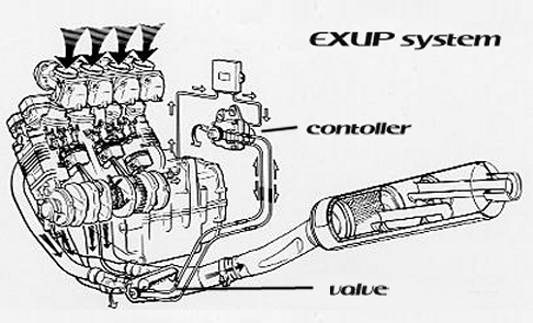 Project - A work in progress my FZR 250 2kr | 2FIFTYCC.COM - Home of the Quarter Litre
