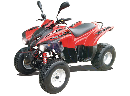 The Quadzilla 300 at MotorBikeSpecs.net, the Motorcycle Specification ...