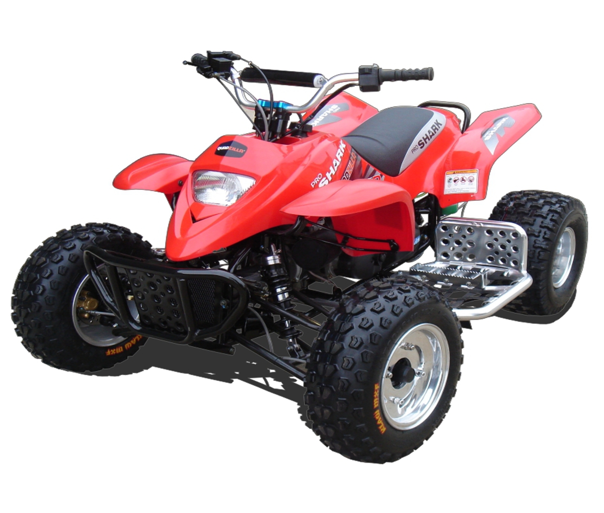 The Quadzilla 100 at MotorBikeSpecs.net, the Motorcycle Specification ...