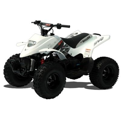 The Quadzilla 100 at MotorBikeSpecs.net, the Motorcycle Specification ...